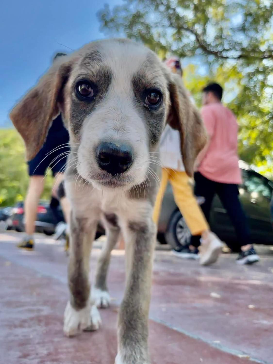 Undiscovered Hierapolis