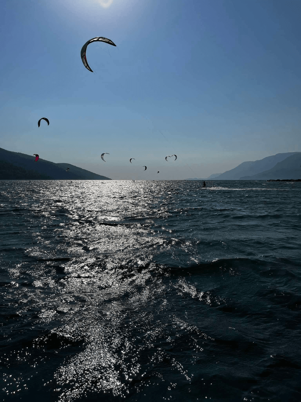 The Secret Amazon
