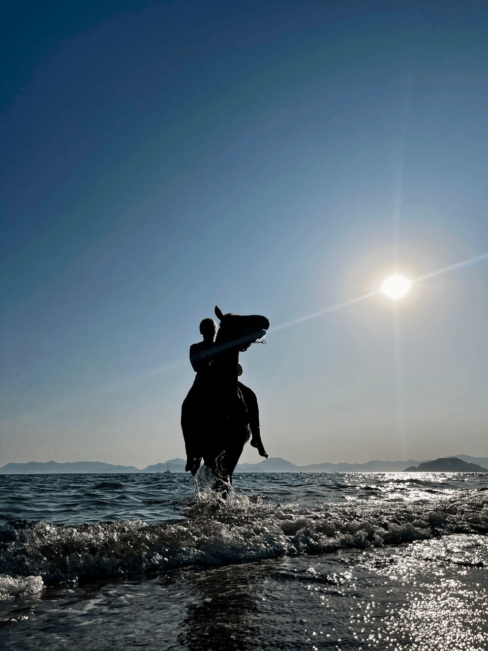 Galloping Seahorses
