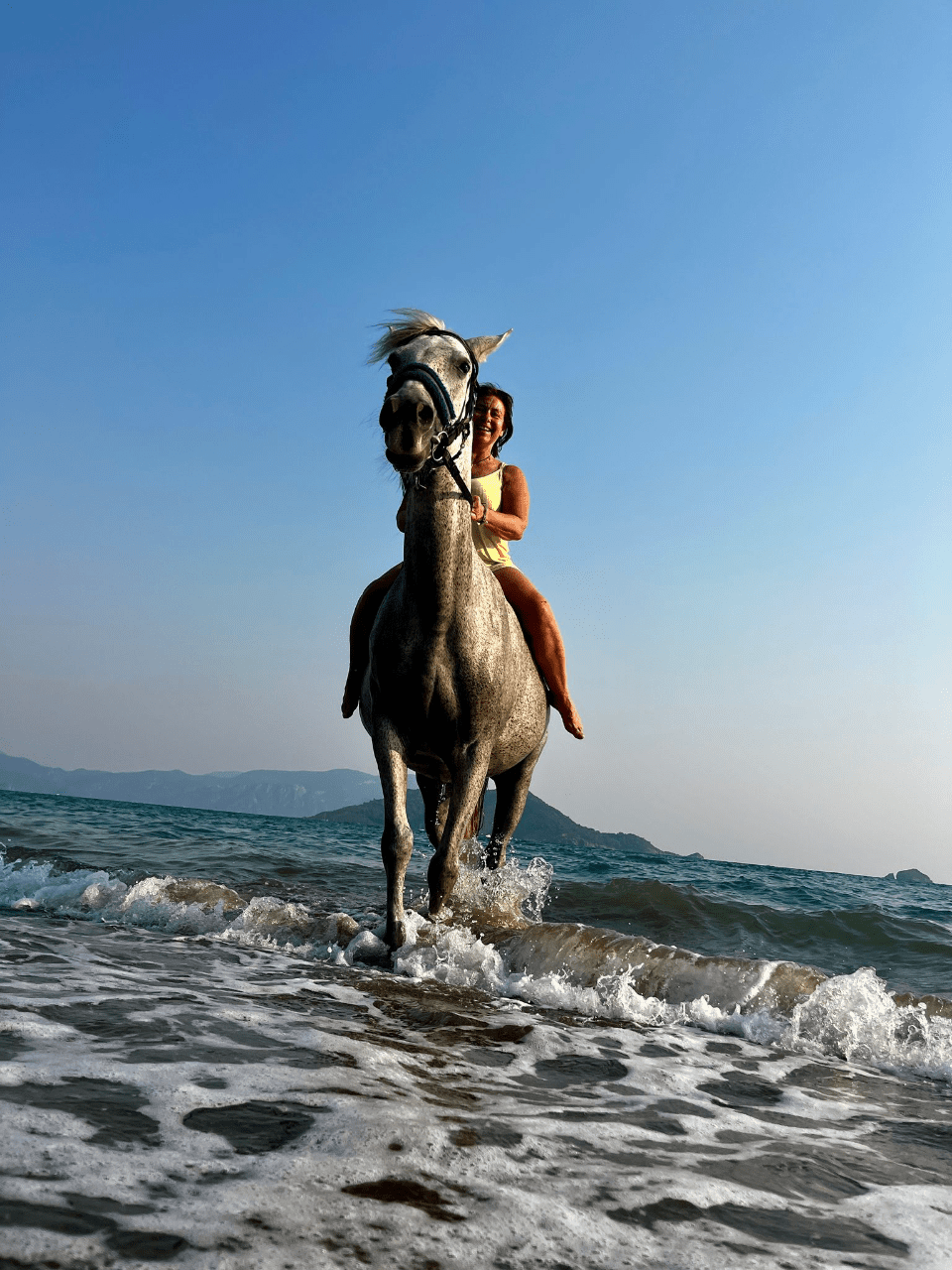 Galloping Seahorses