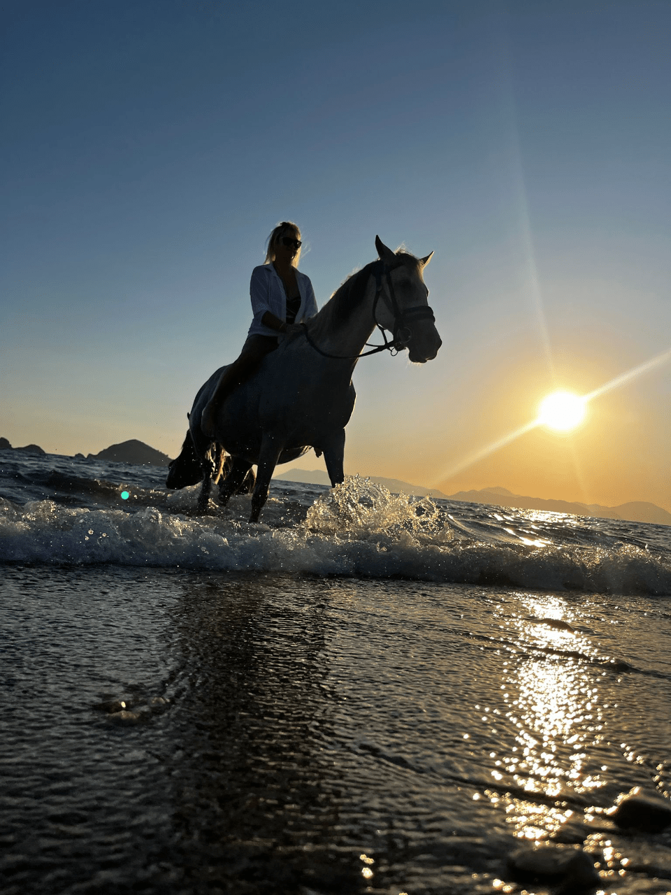 Galloping Seahorses