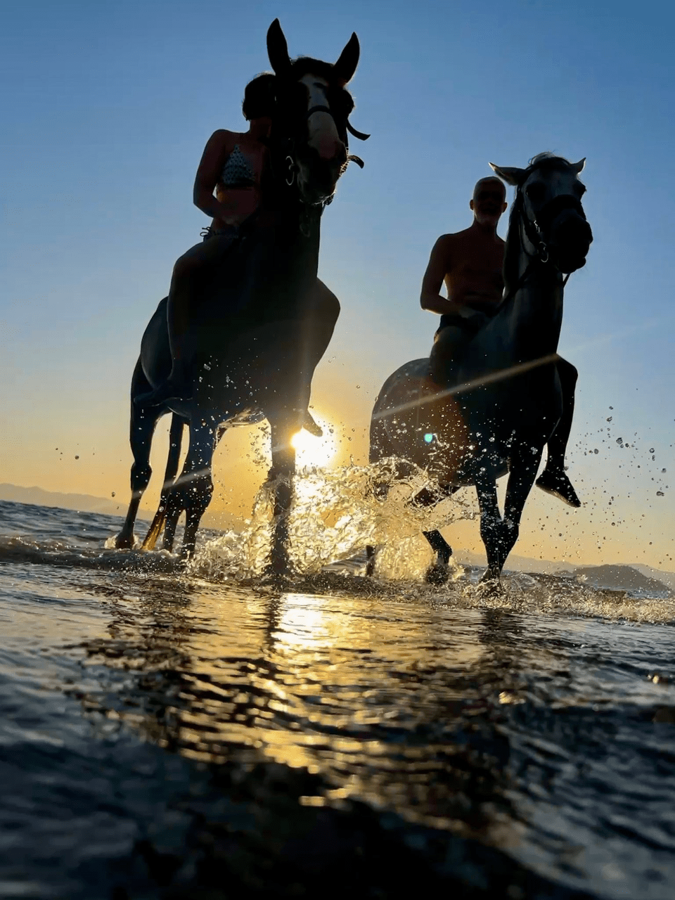 Galloping Seahorses